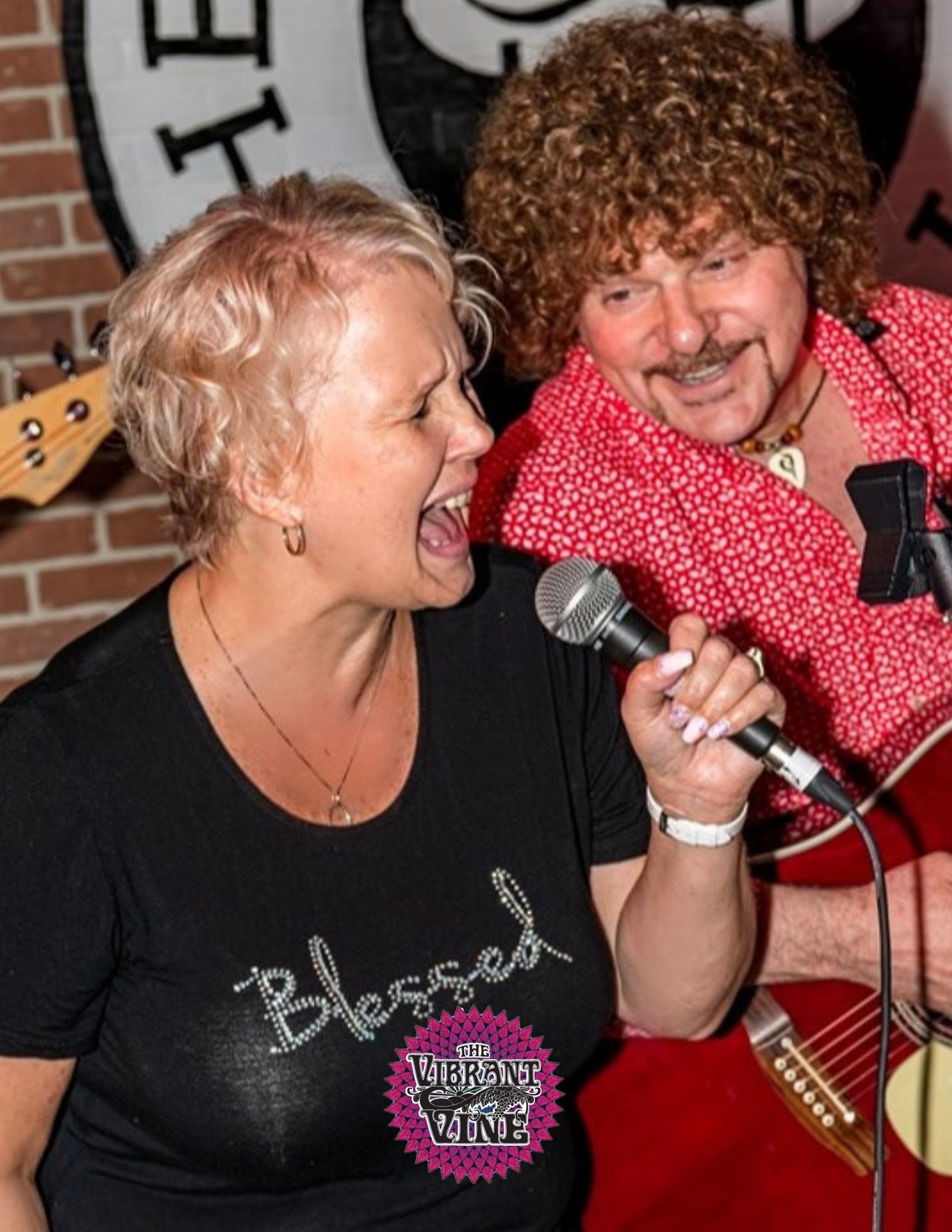 Concerts & Shows - The Vibrant Vine Winery